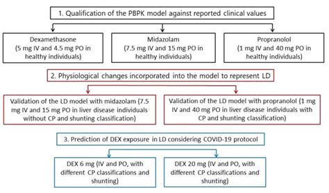 Overall Step By Step Workflow Representing The Pbpk Modelling