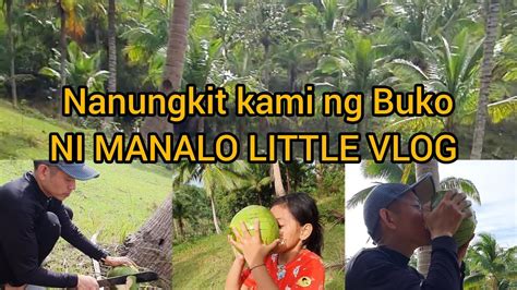 Nanungkit kami ng #buko ni @cassandramariemanalo1362 / #buhayprobinsya/ #coconut farming/ #ofw ...