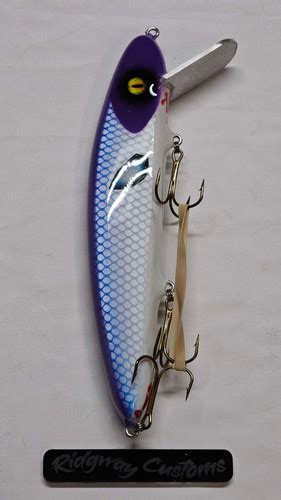 Inch Sexy Cisco Ridgway Customs