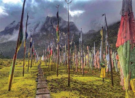 Into The Heart Of The Lion A Journey To Singye Dzong Tashi Delek