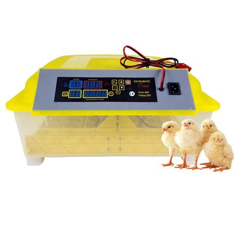 Egg Incubator Incubator Machine Incubator Price In India
