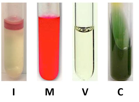 Solved I MVC M С Chegg com