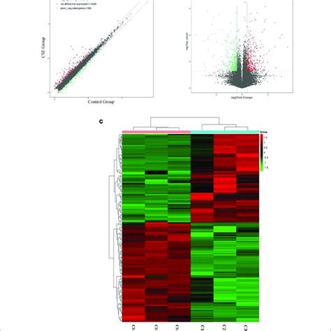Next Generation RNA Sequencing Data Showing The Differentially Download Scientific Diagram