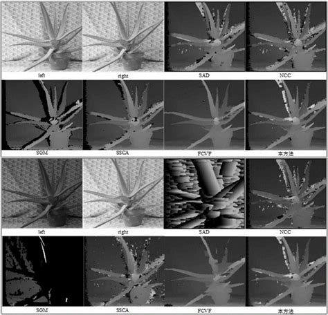 illumination insensitive fast stereo matching method based on local