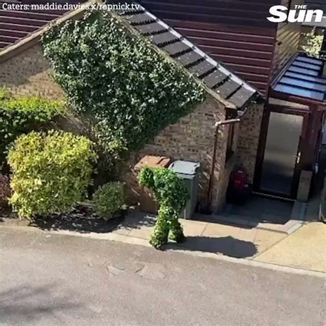 The Sun On Twitter Neighbour Spots A Resident Leaving Home Dressed As