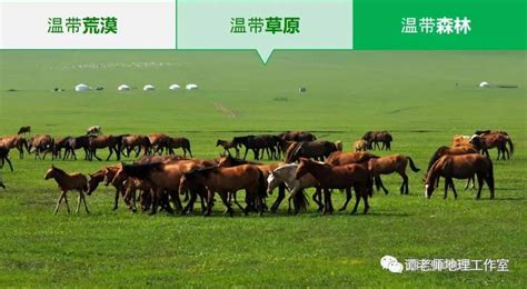 考试技巧高考地理地域分异规律总结非地带性地域分异规律的归纳整合 影响