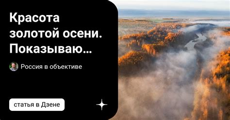 Красота золотой осени Показываю фотографий с Пижемского заказника