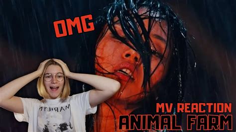 Bibi ‘animal Farm Reaction Fr Youtube