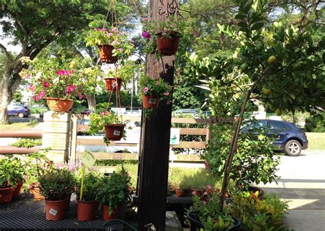 Nursery Welcome To Hawaii Landscape