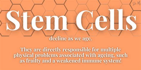 Stem Cells Help Fight Ageing Heres How You Can Increase Your Stem