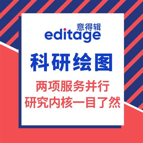 科研绘图服务价格 品牌 丁香通官网