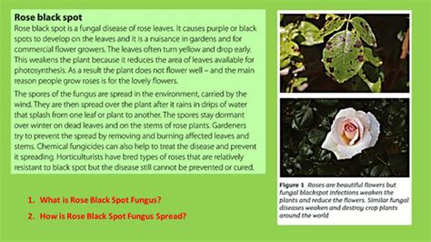 Diseases Caused By Fungi And Protists Teaching Resources
