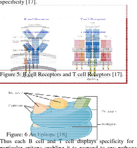 Figure 6 From An Algorithm To Recognize The Adversaries In Self Organizing Networks Inspired
