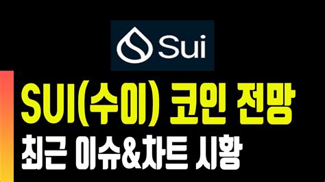수이코인전망 수이코인 가격 코인 시황 및 뉴스 Youtube