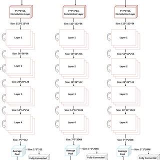 Representing 3 Different Feature Extraction Used In This Study 3
