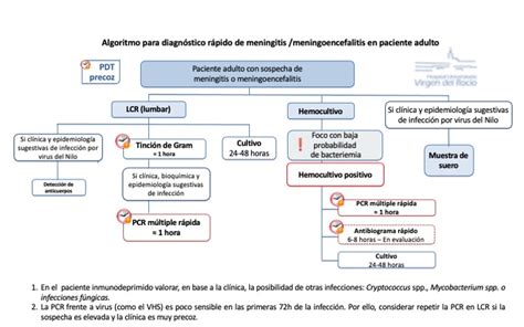 PDT Meningitis Meningoencefalitis Guía PRIOAM