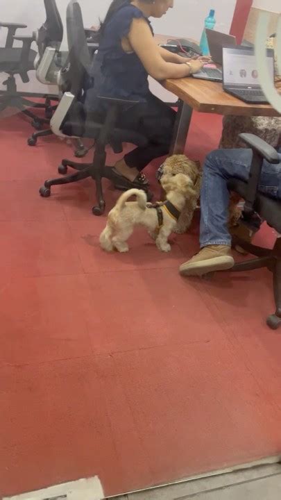 [video] suyash agarwal on linkedin that s one thing usual about