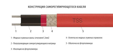 Греющий кабель для водопровода: виды, как выбрать и правильно установить