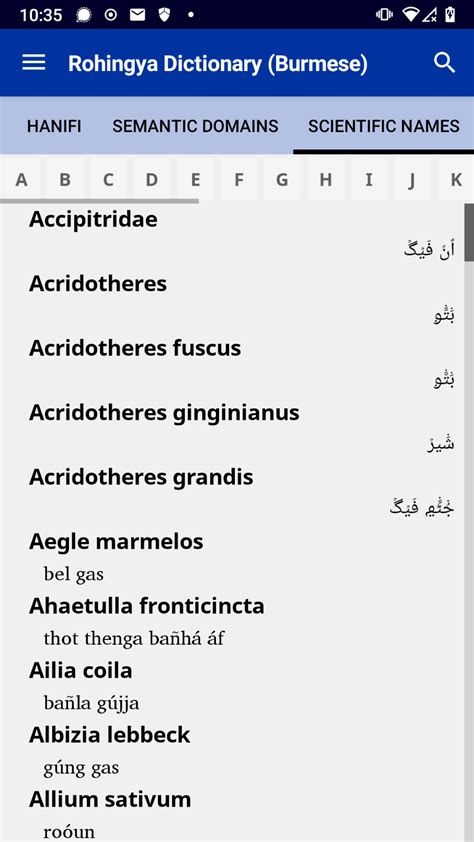 Weird UI Changes In Android App Dictionary App Builder SIL Language