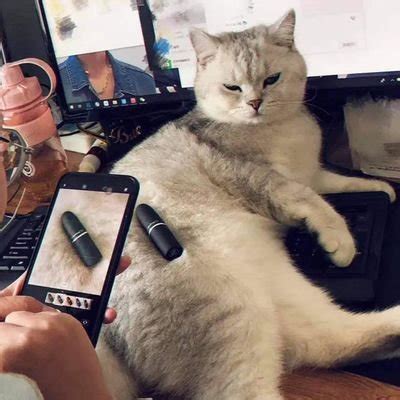 김리리 on Twitter 안쑤시면 발정나서 못잘거같아 아빠한테 박히면서 엄마 보지 빨고싶어 https t co