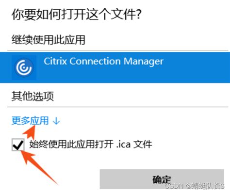 无法识别ica文件ica文件用什么程序打开 Csdn博客