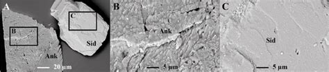 Sem Micrographs Taken From Experimentally Treated Iron Carbonate