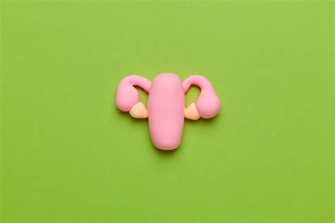 녹색 배경에 건강한 여성 자궁 부인과 질환과 통증 치료 생식 시스템 및 임신 0명에 대한 스톡 사진 및 기타 이미지 0명