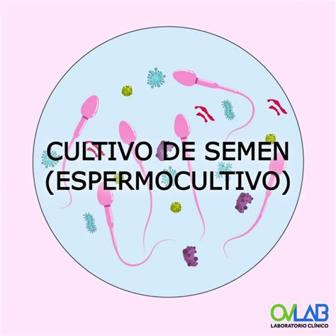 CULTIVO DE PUNTA DE CATÉTER OVLAB O V Laboratorios
