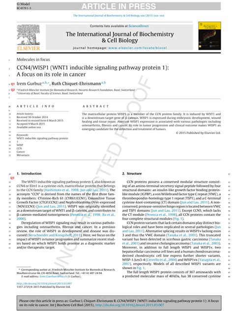 Pdf Ccn4 Wisp1 Wnt1 Inducible Signaling Pathway Protein 1 A Focus