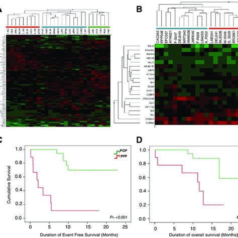 Hierarchical Clustering And Survival Curves Of The 27 B All Patients