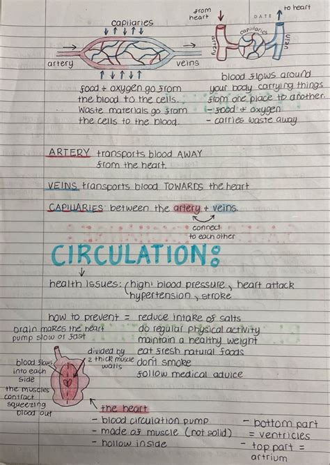 Biology Circulatory System Easy Study Notes Nurse Study Notes