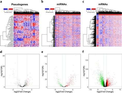 Differentially Expressed RNAs From TCGA COAD Compared With Adjacent