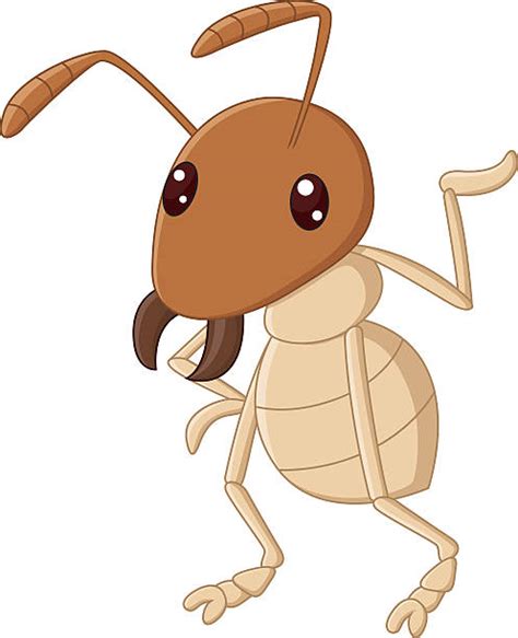 2 400 Termites Stock Illustrations Graphiques Vectoriels Libre De