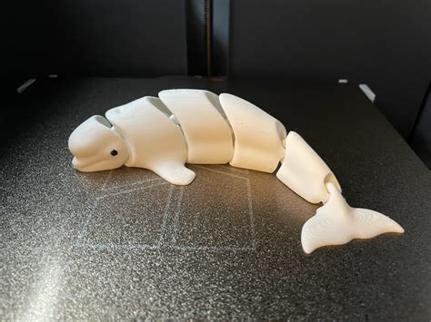 Articulated Beluga Whale By Jopek Design Makerworld Download Free 3d