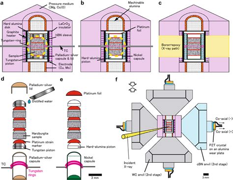 The Cell Assemblies Viewed In Cross Section Views From The Direction