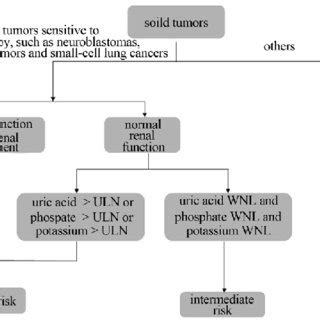 TLS Risk Assessment Of Solid Tumor Partially Alteration Of Reference Download Scientific