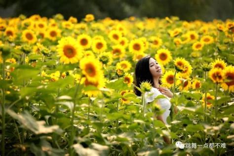 1m刘隽个人资料1m舞室成员三巨头隽个人第10页大山谷图库