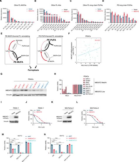 Ferroptosis Surveillance Independent Of Gpx4 And Differentially