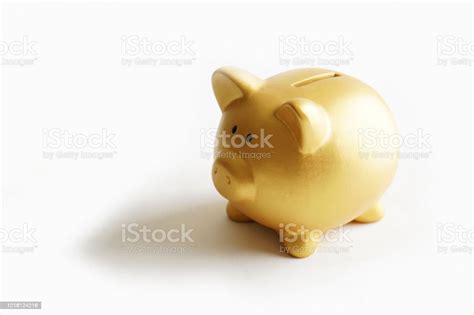 Gambar Celengan Babi 56 Koleksi Gambar