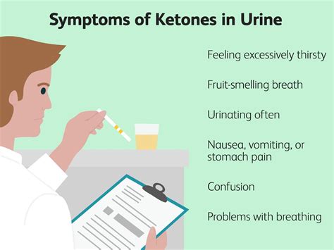 Trace Ketones In Urine Test How To Interpret The Results Diabetic