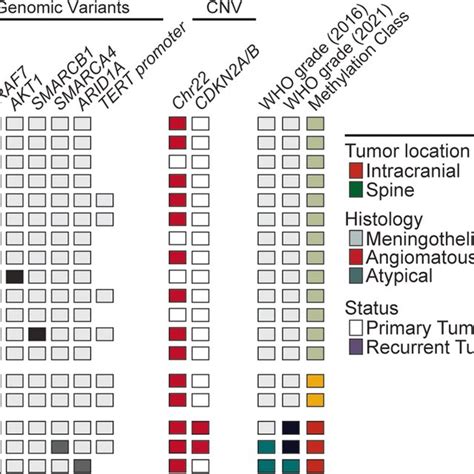 Reclassification Of A Meningioma Cohort From Who Grade To Methylation