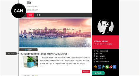 黑白色个性织梦dedecms博客模板：如影随形 博客吧