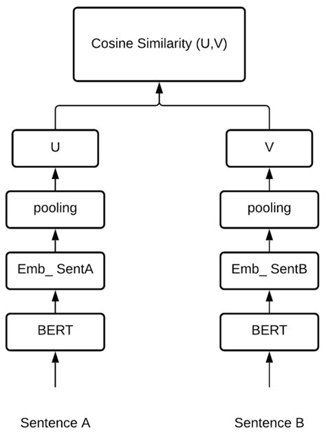 Semantic Feature Extraction Using Sbert For Dementia Detection