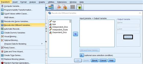 Interpret Spss 25 Logistic Regression Output Motionlopa