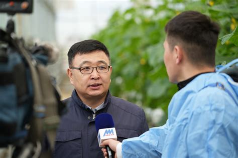 Д Есөн Эрдэнэ Энэ жил улаанбуудай төмсний хэрэгцээг 100 хувь хүнсний
