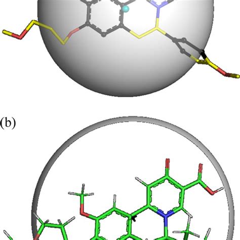 Pictorial Representation Of Some Of The Selected Molecular Descriptors Download Scientific