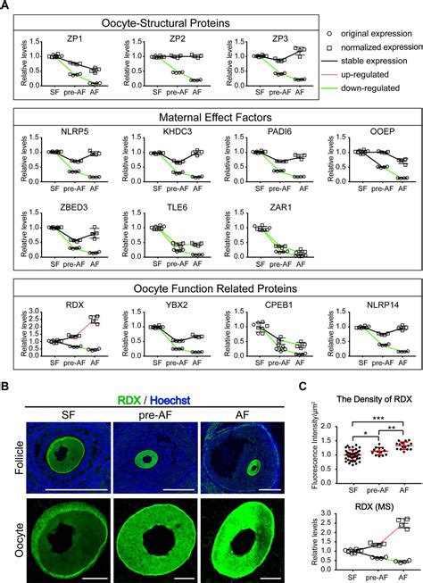Quantitative Proteomic Analysis Uncovers Protein Expression Profiles