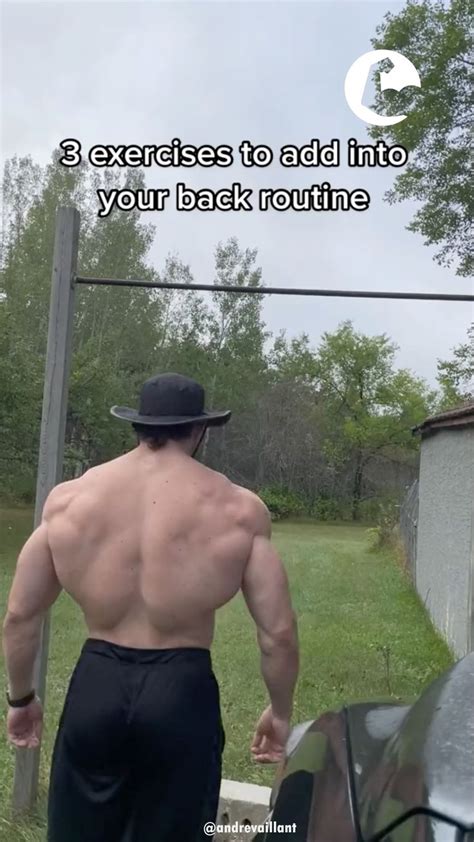 EXERCISES TO ADD IN YOUR BACK ROUTINE Workout Videos Gym Workout Planner Bodybuilding