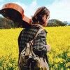 Vue Countup V3 Npm