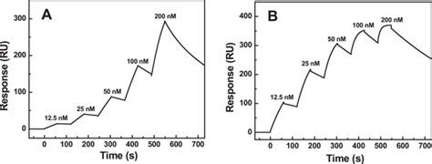 Spr Analysis Of The Interaction Between Rbd And Ace2 Rbd‐1 A And